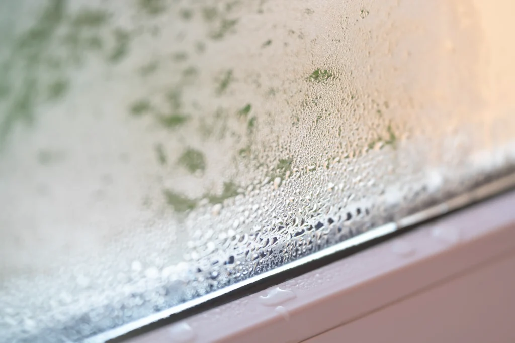 Why High Humidity Can Be An Issue Even In Winter | We Care Plumbing ...
